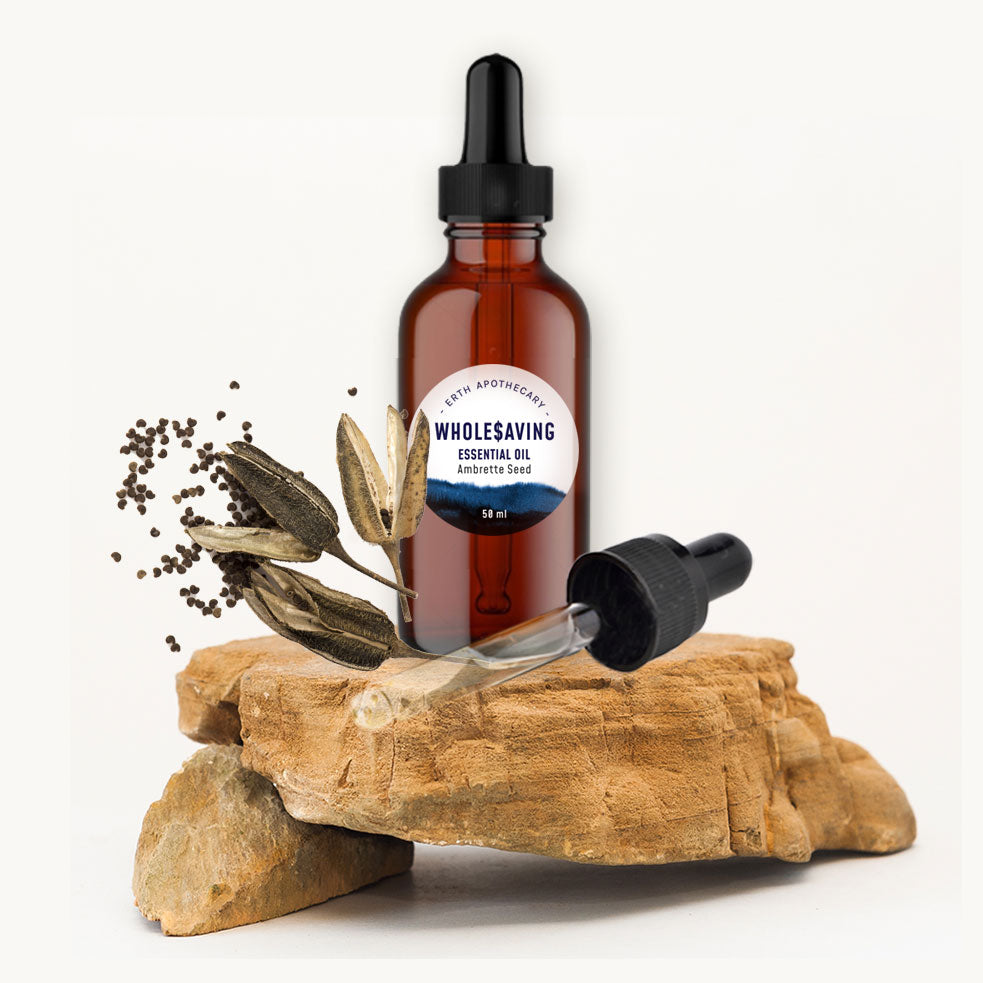 Ambrette Seed Essential Oil – WholeSaving