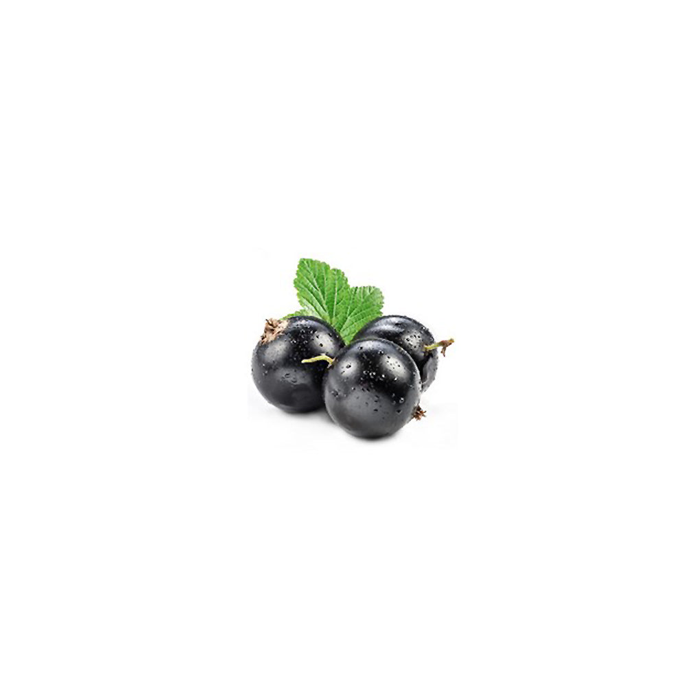 Blackcurrant Bud Absolute Oil 50mL + Free Dropper – WholeSaving